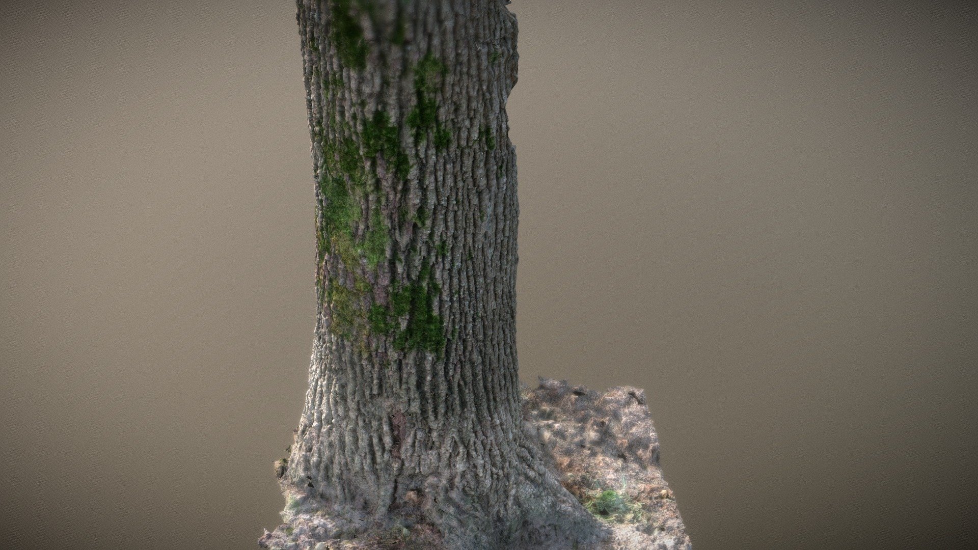 Bad tree photoscan - Download Free 3D model by VeeSaus [98dbb9e ...