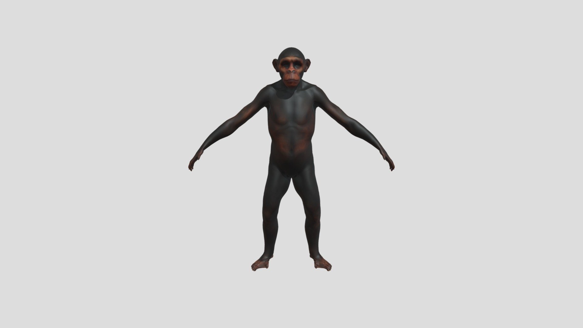 ape monkey character - Download Free 3D model by edu (@edovvsky ...