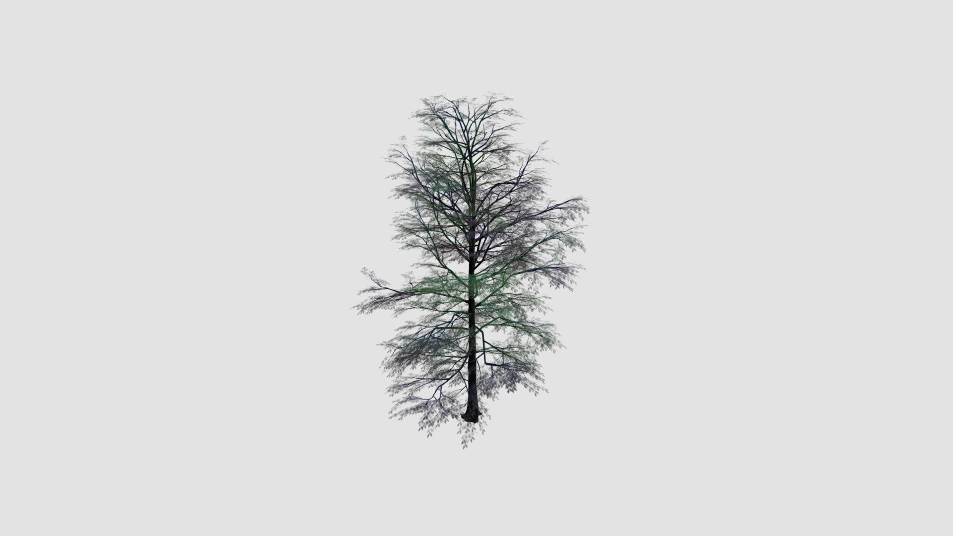 Tree - Buy Royalty Free 3D model by Evermotion [98ddeed] - Sketchfab Store