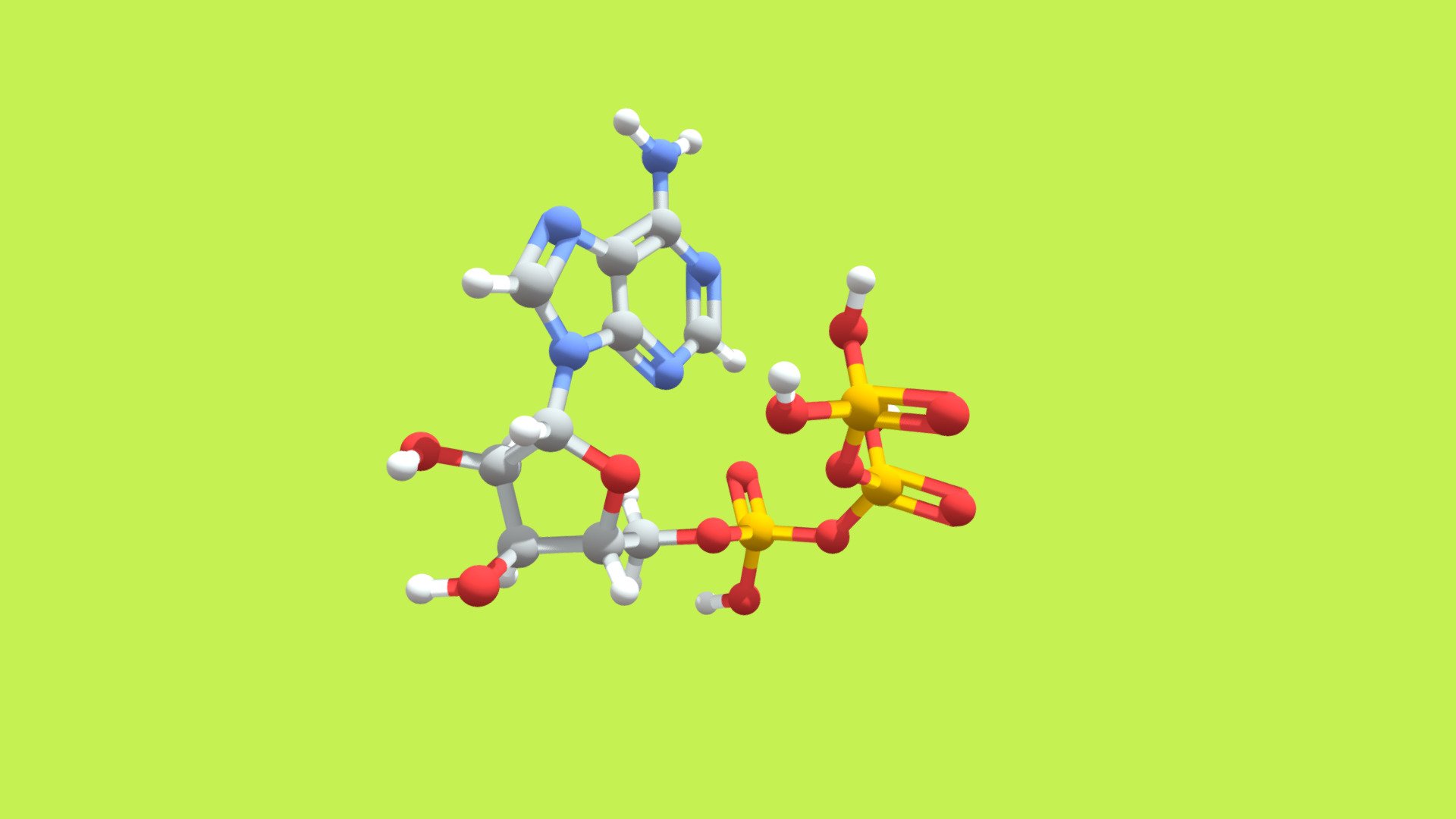 Atp Adenosine Triphosphate Molecule Download Free 3d Model By S