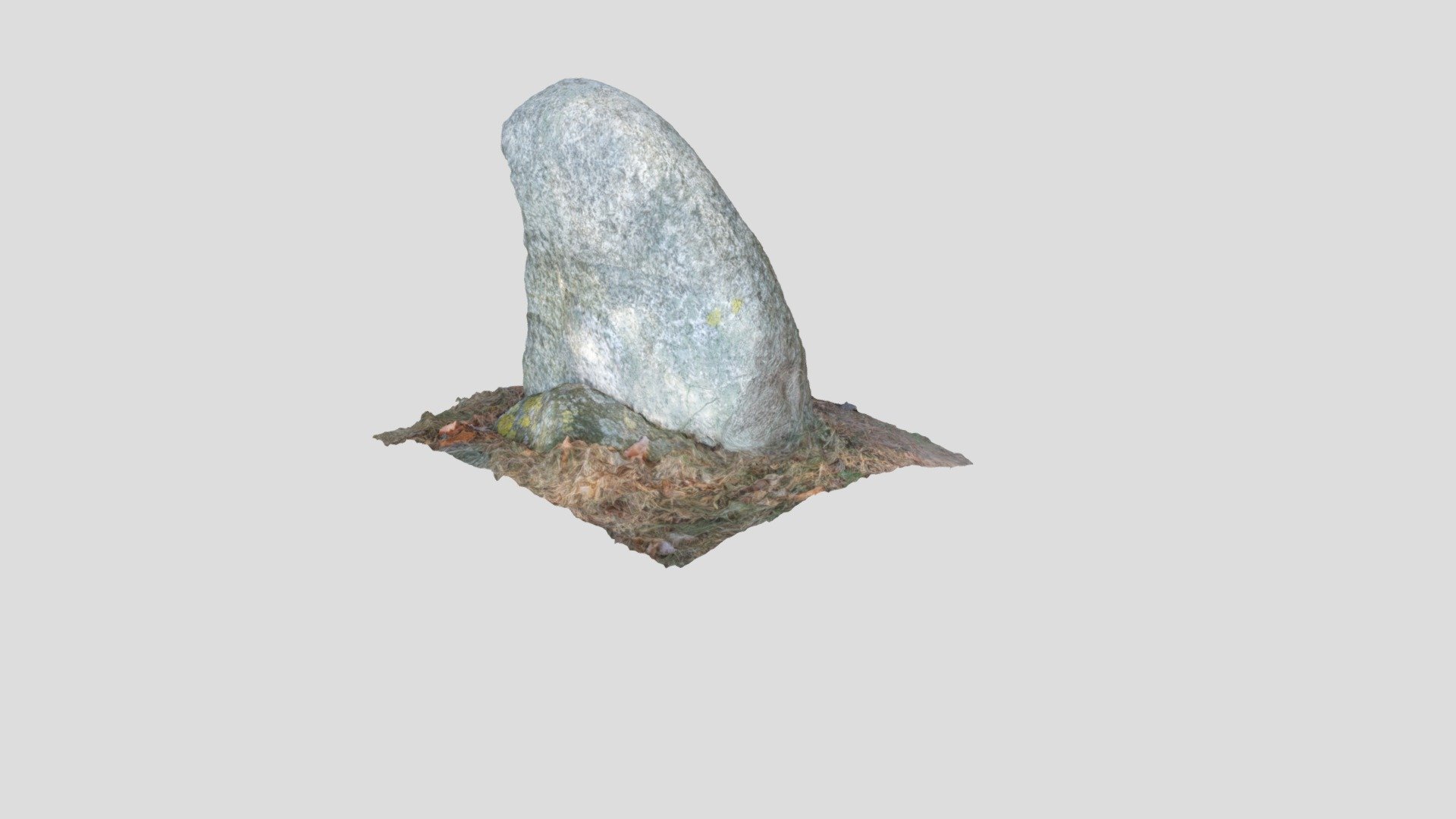 Medium rock on the ground - Download Free 3D model by shinyjustyz ...