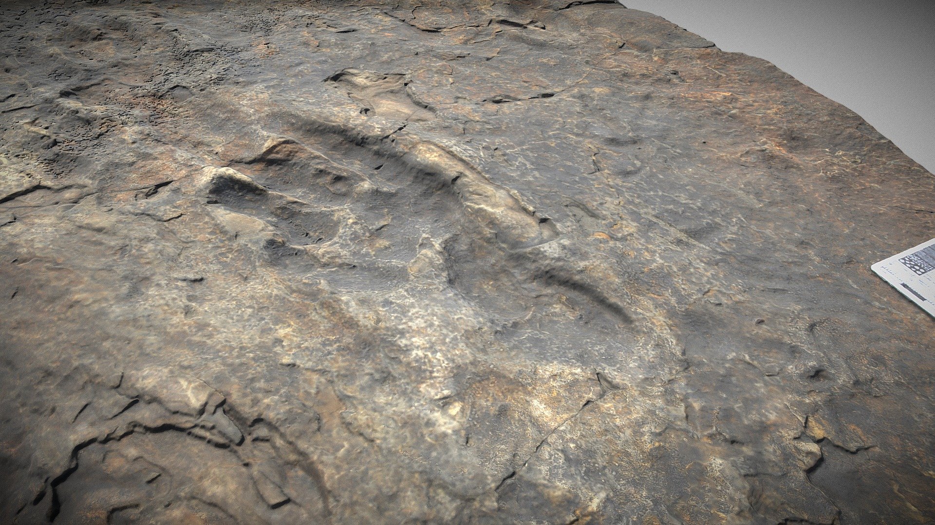 Bipedal crocodylomorph tracks - 3D model by Youngwoo Cho (@yow ...