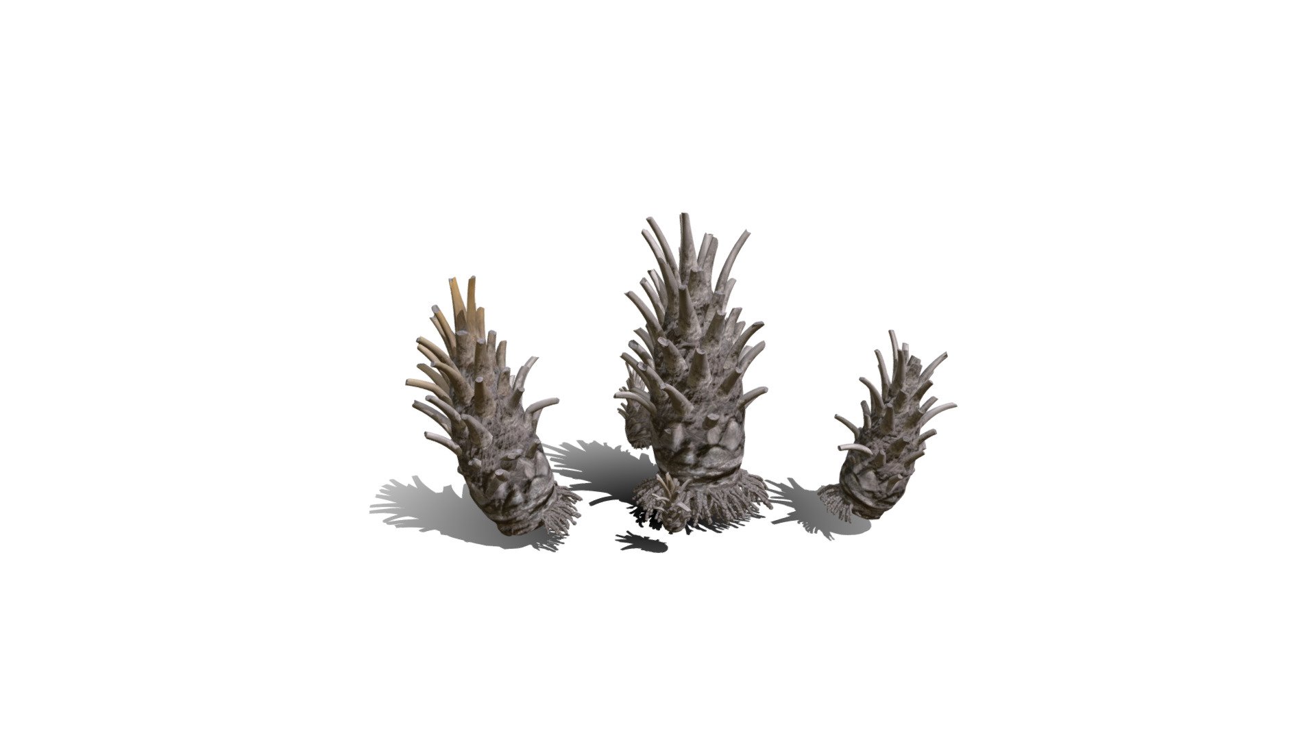 Realistic HD Date palm (75/78) - Download Free 3D model by PlantCatalog ...