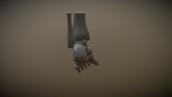 Navicular 3D models - Sketchfab