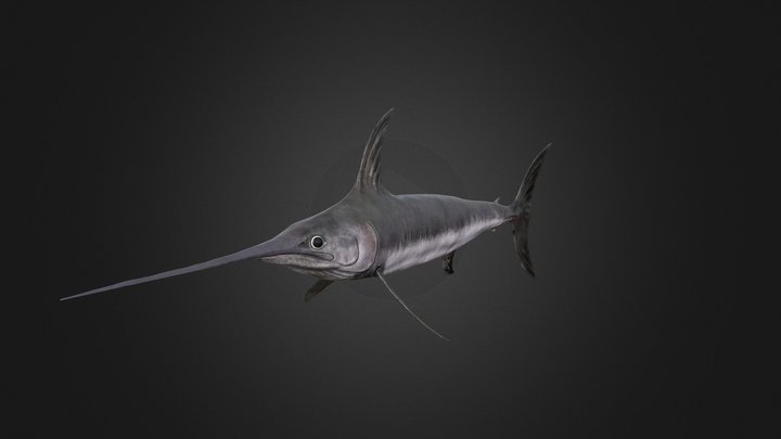 Swordfish 3D models - Sketchfab