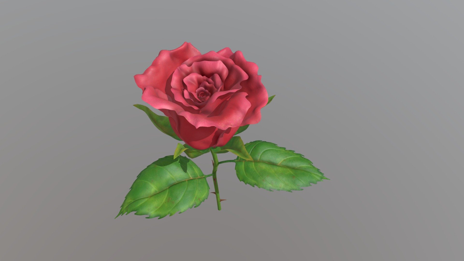 Roses Images Free 3d Models Free - Infoupdate.org