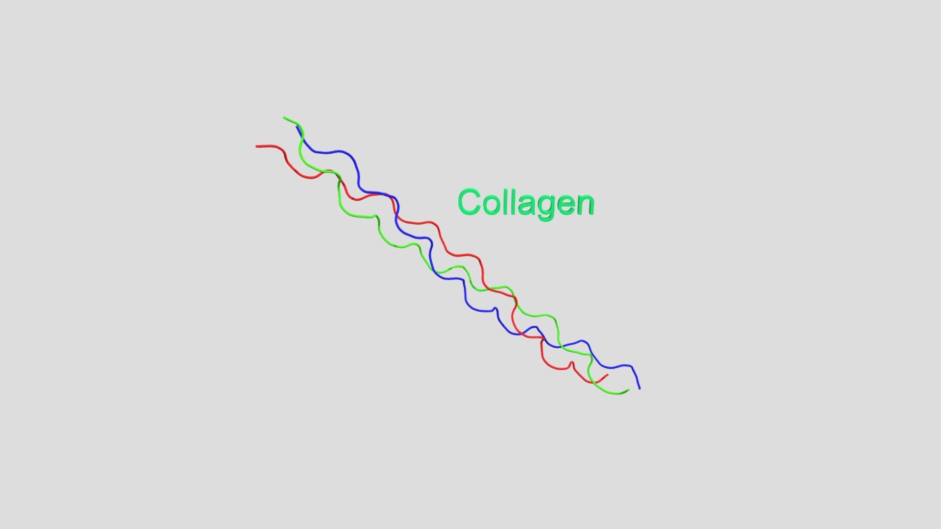 Collagen - Download Free 3D model by DrRobbieBaldock (@RobbieBaldock ...