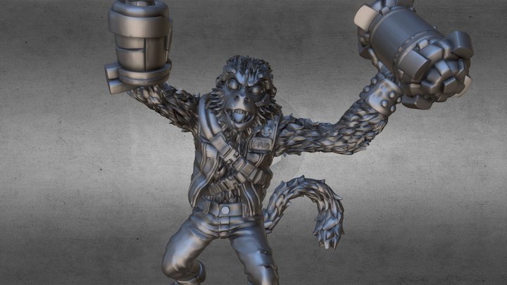 Capuchin 3D models - Sketchfab
