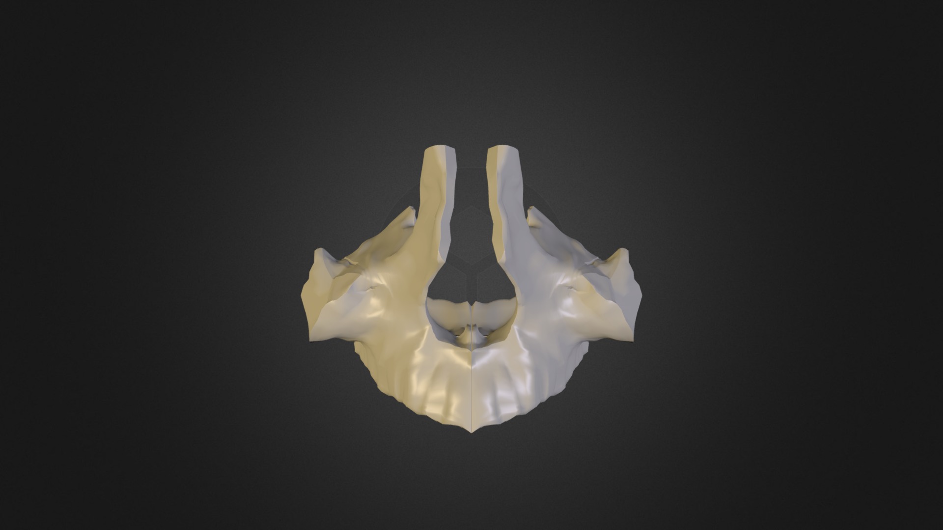 Maxilla Human Anatomy - 3D model by Medical University of Lublin ...