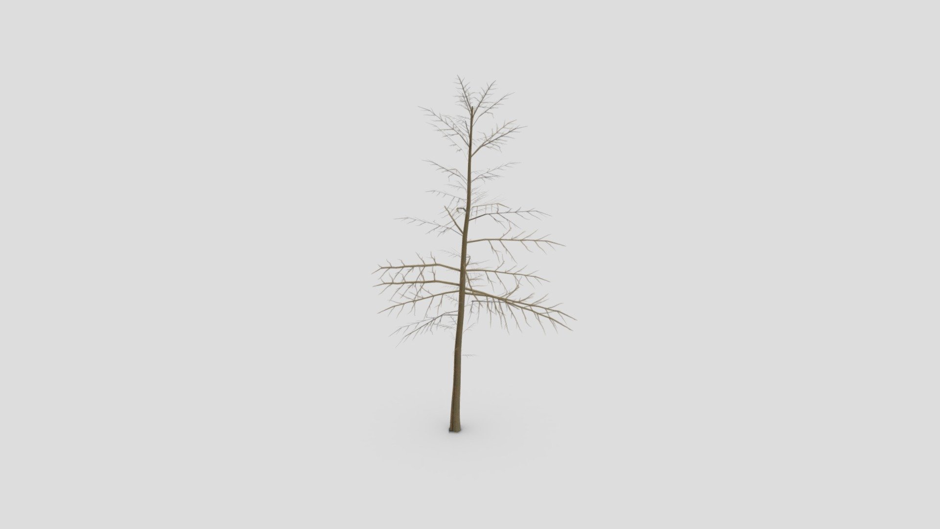 Pine Tree- Lowpoly_ 04 - Buy Royalty Free 3D model by ASMA3D [992055c ...