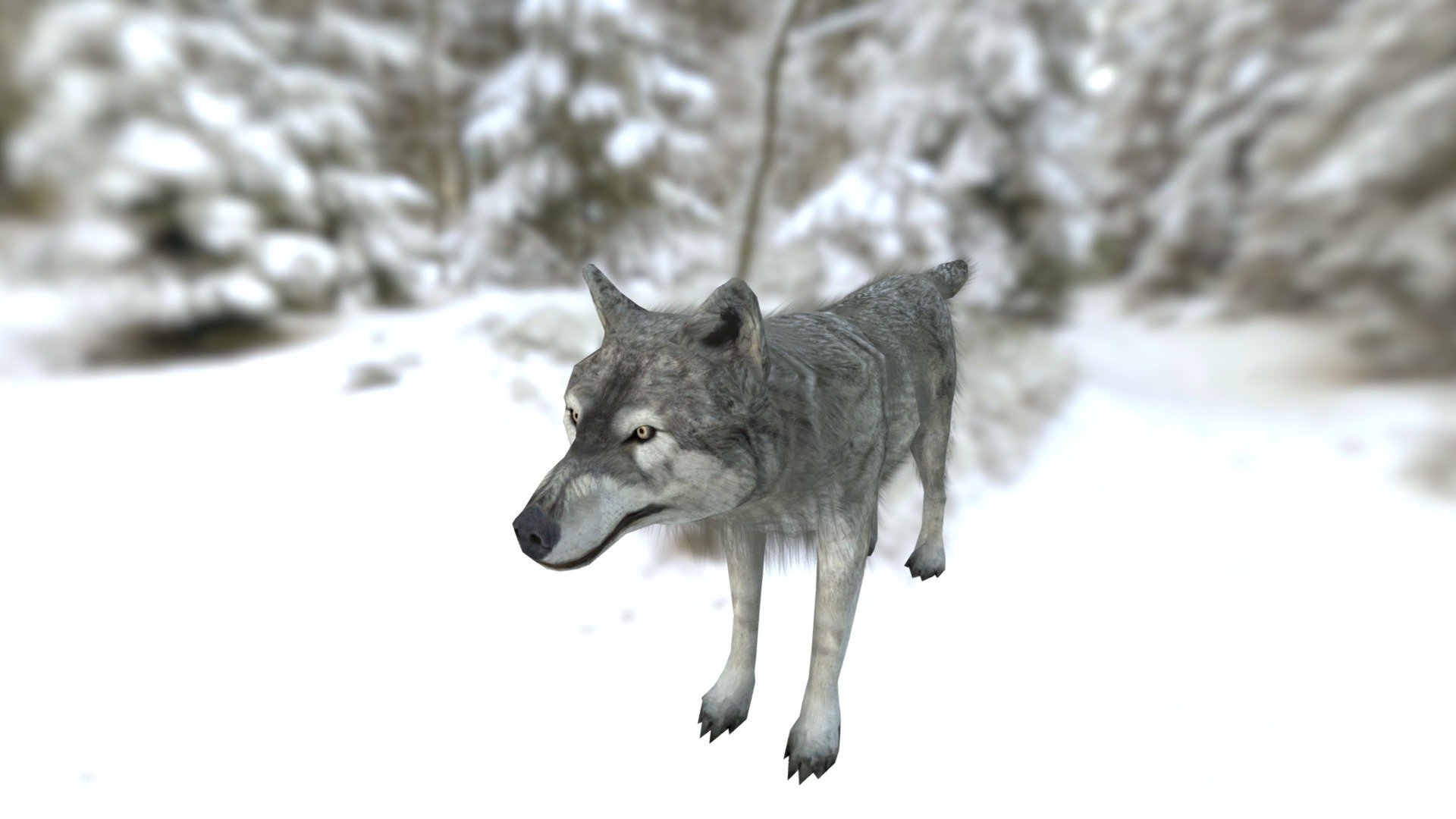 Wolf - 3D model by beholdmidia [9922459] - Sketchfab