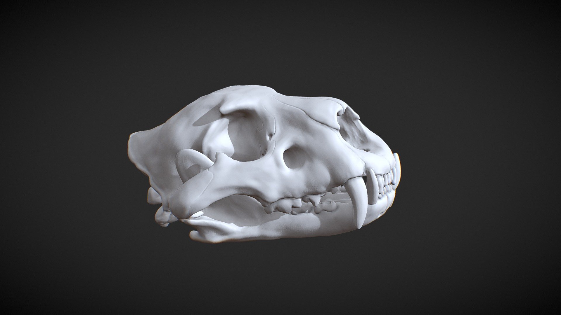 Lionskull 3d print model - Buy Royalty Free 3D model by patrickart90 ...