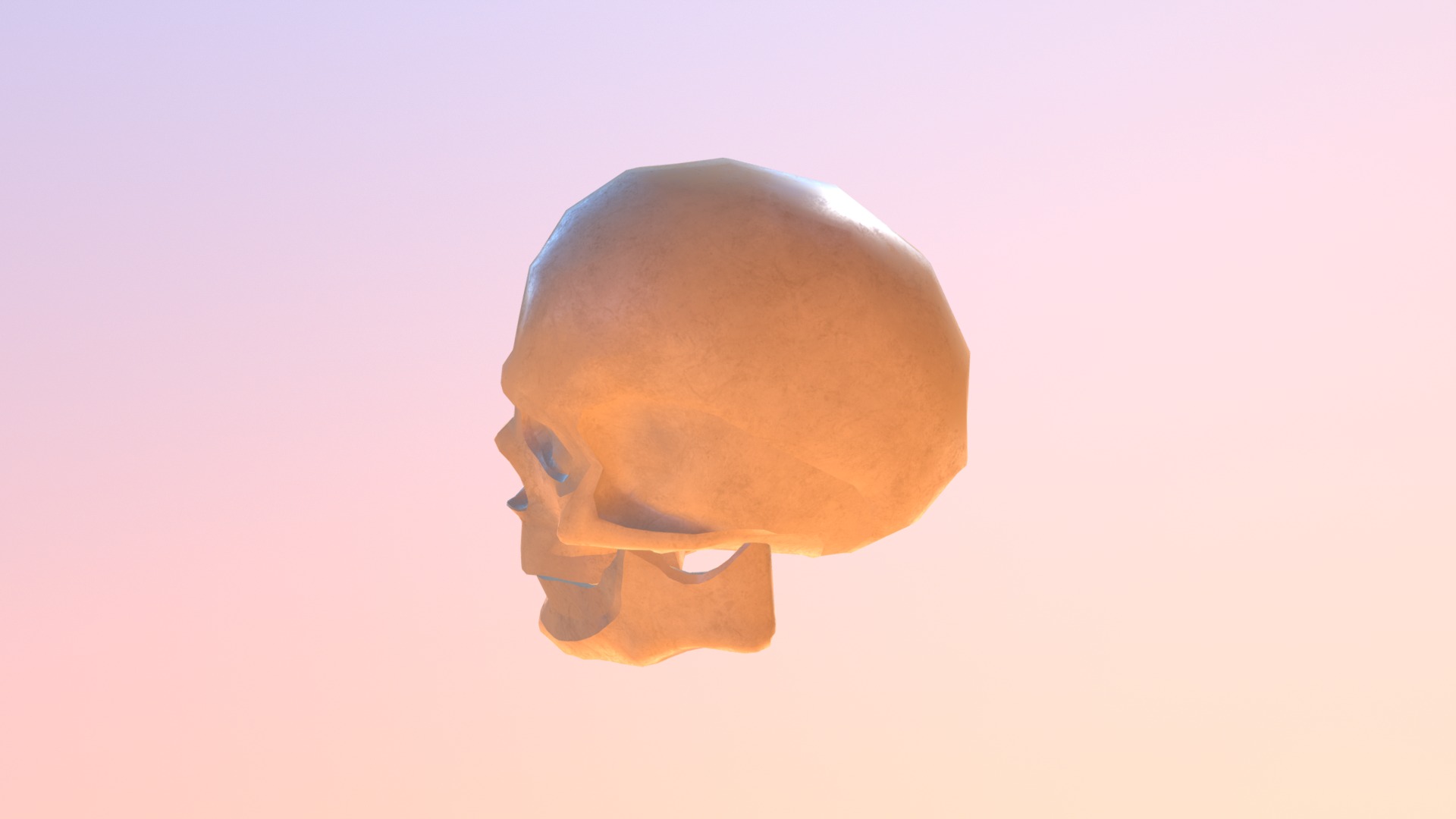 skull - 3D model by 1008546 [99405e6] - Sketchfab