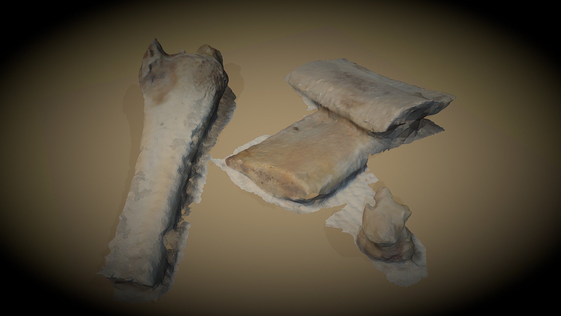3D digitalization of bones - Download Free 3D model by mtamali [9940ef2 ...