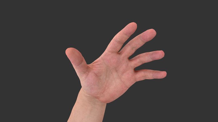 Finger 3D models - Sketchfab