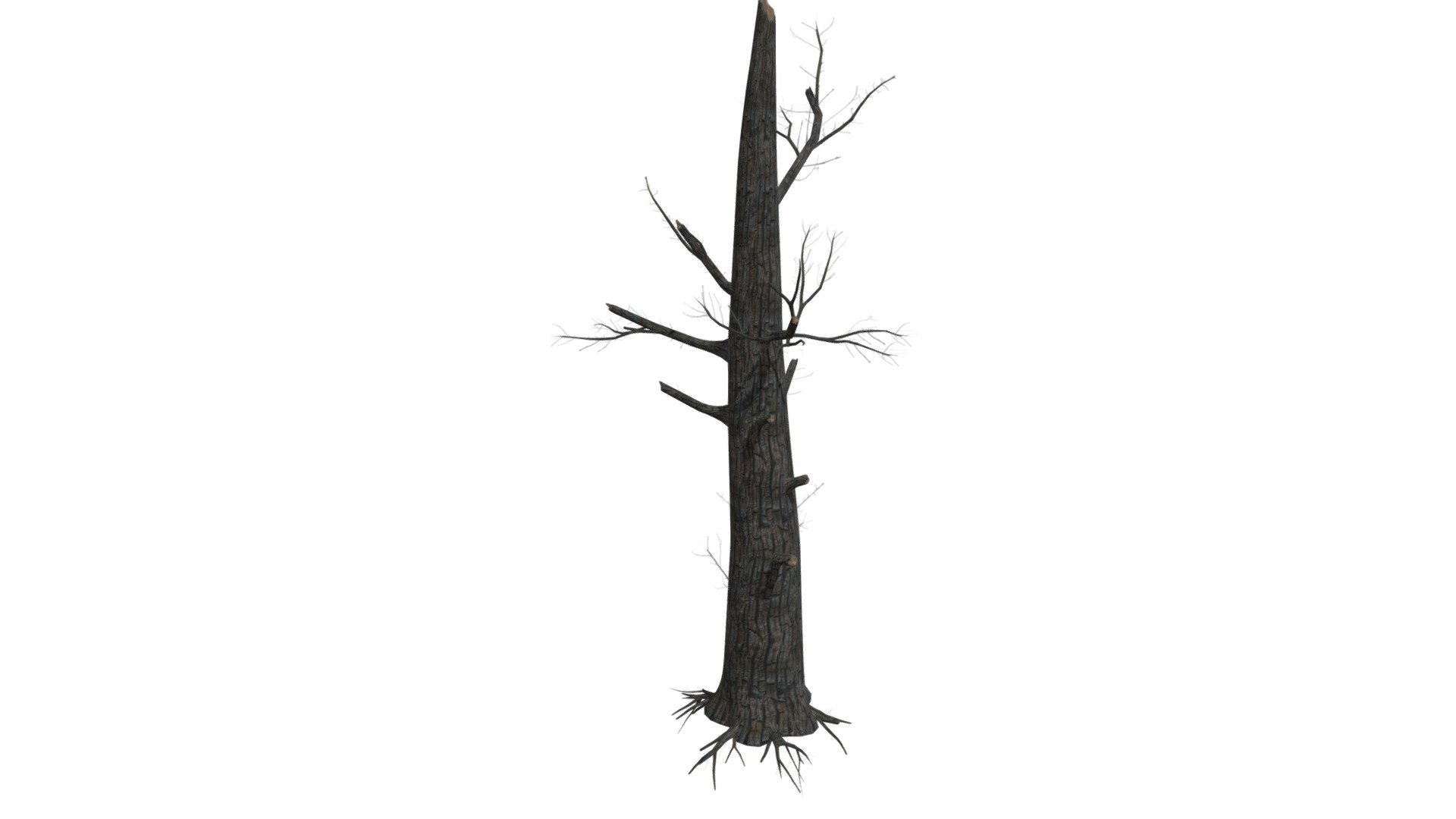 Burnt Tree #01 - Buy Royalty Free 3D model by meshshape [994dab9 ...