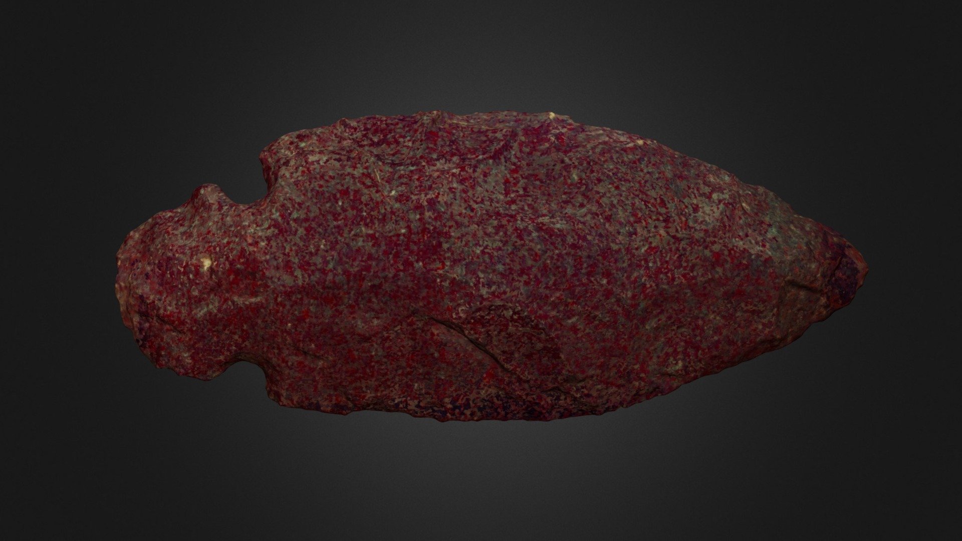 TURKEY TAIL POINT - 3D model by Lakehead Anthropology ...