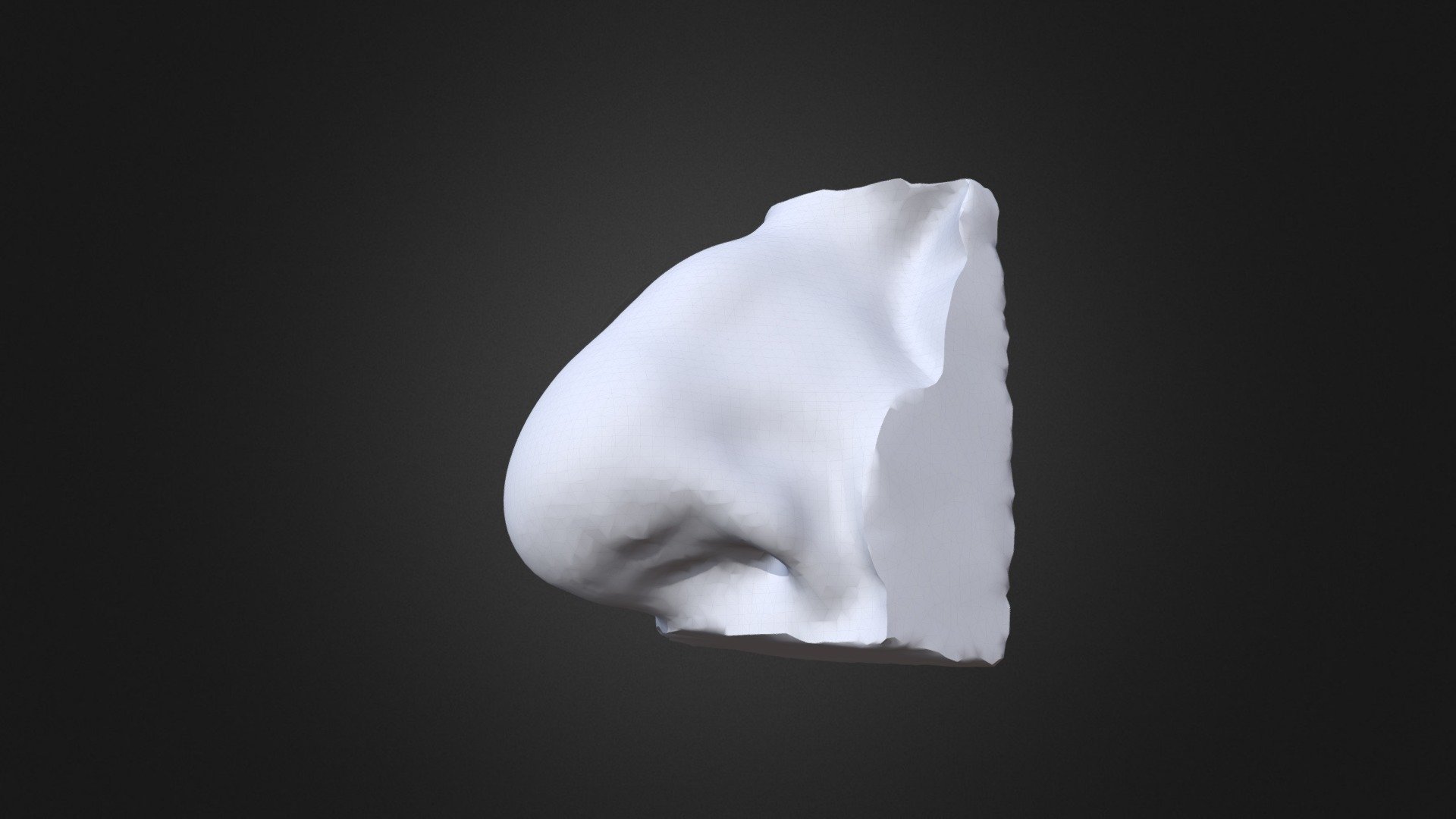 Nose - 3D model by Nick (@licausi.nicholas) [9955135] - Sketchfab