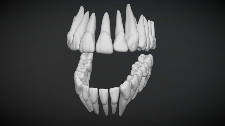 Tongue 3D models - Sketchfab