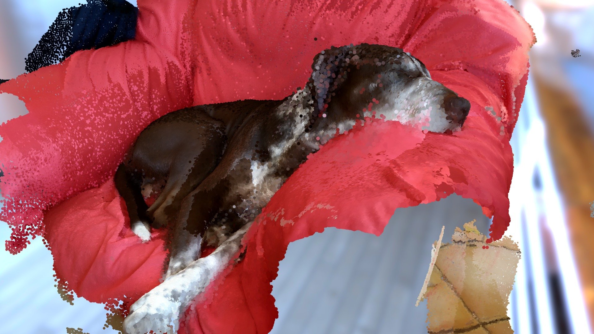 Sleeping Dog 3D Scan - 3D model by Sircher [995bbfb] - Sketchfab