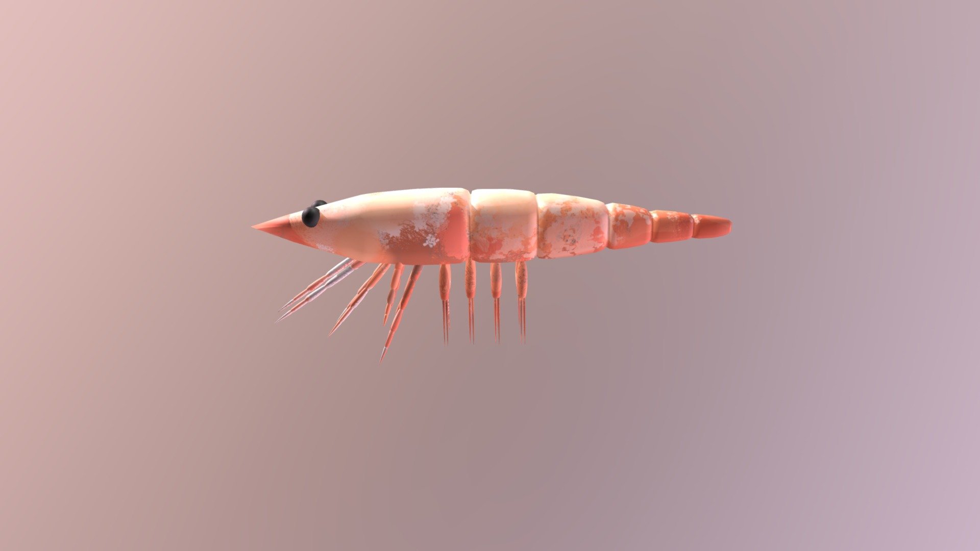 Shrimpy - 3D model by Velfarius [995e9d7] - Sketchfab