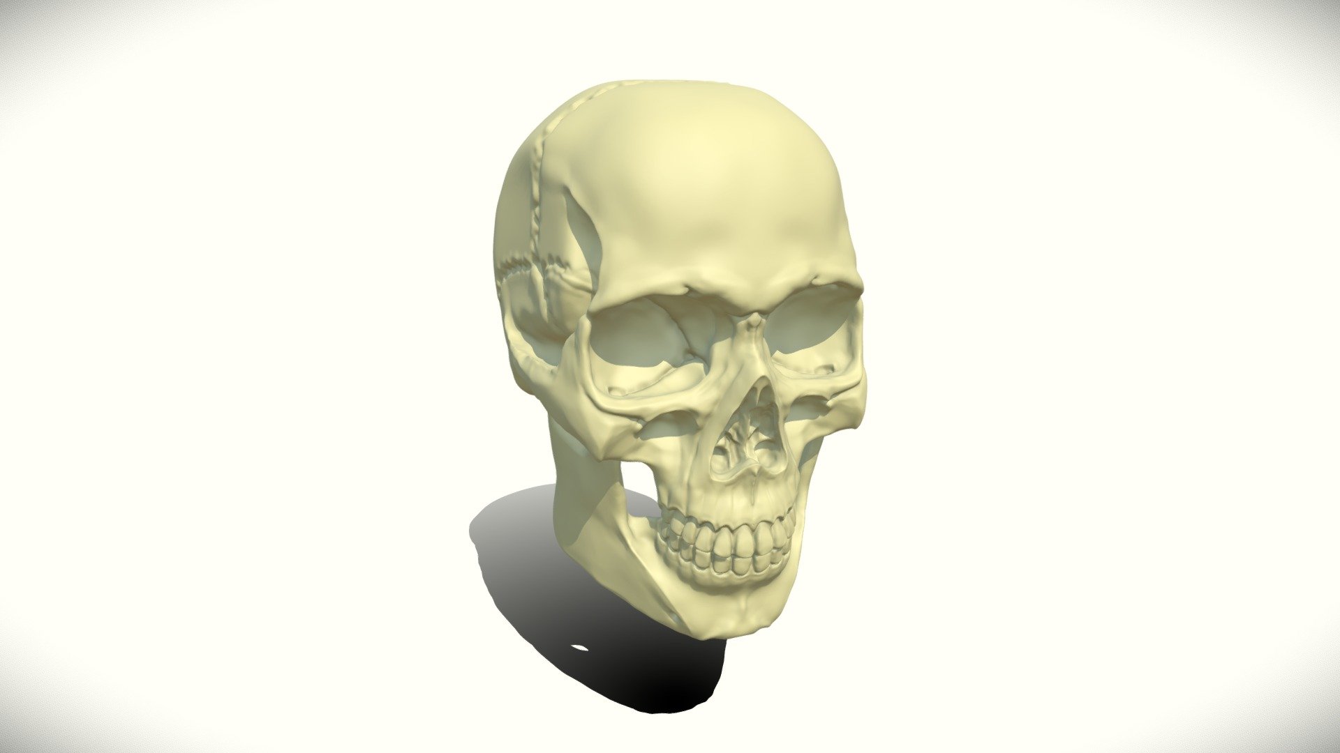 Realistic Skull ( HP ) ( My First ) - Download Free 3D model by Lukas ...