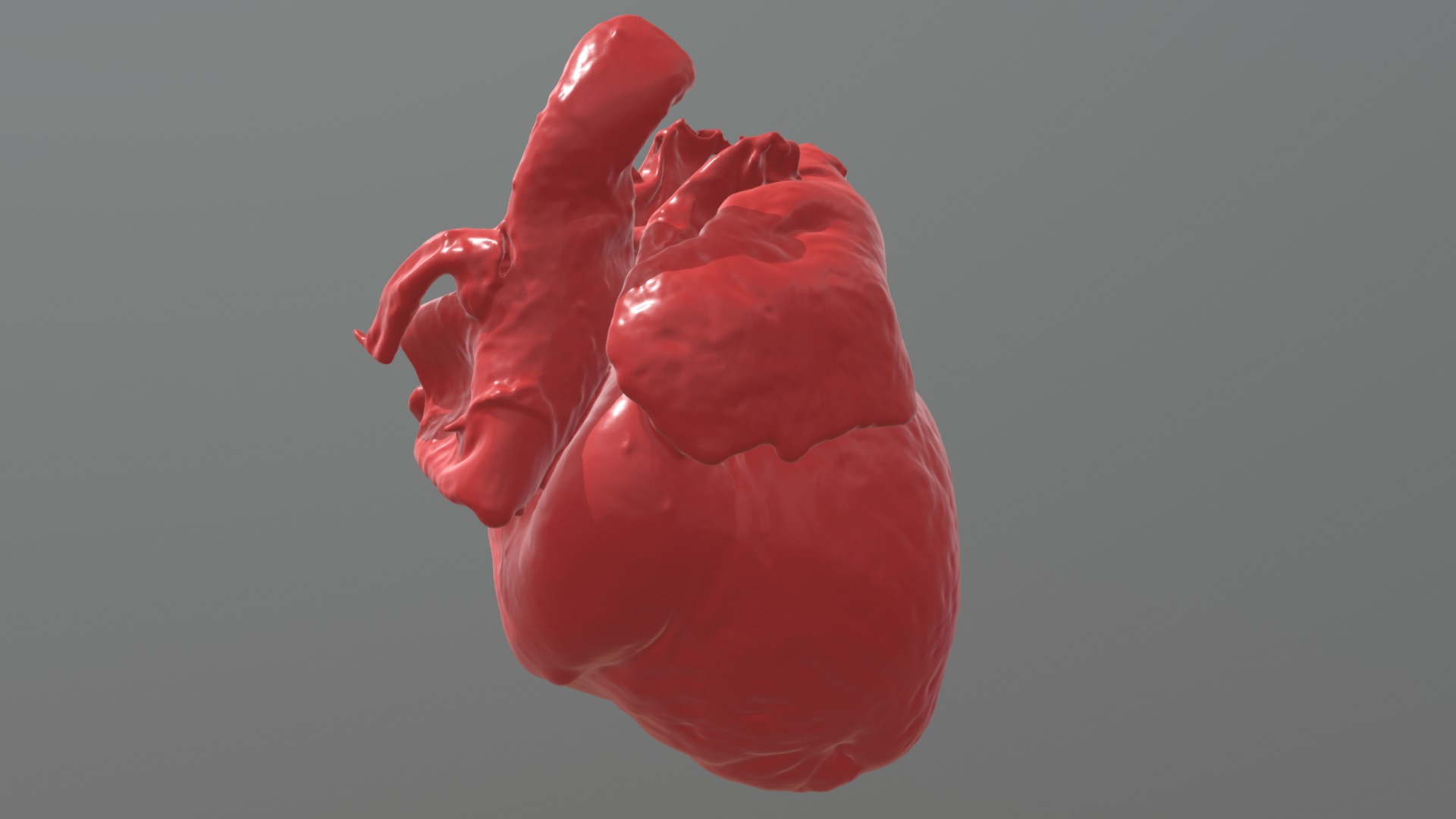 Bovine Heart - 3D model by Pixelbeaker [996718e] - Sketchfab