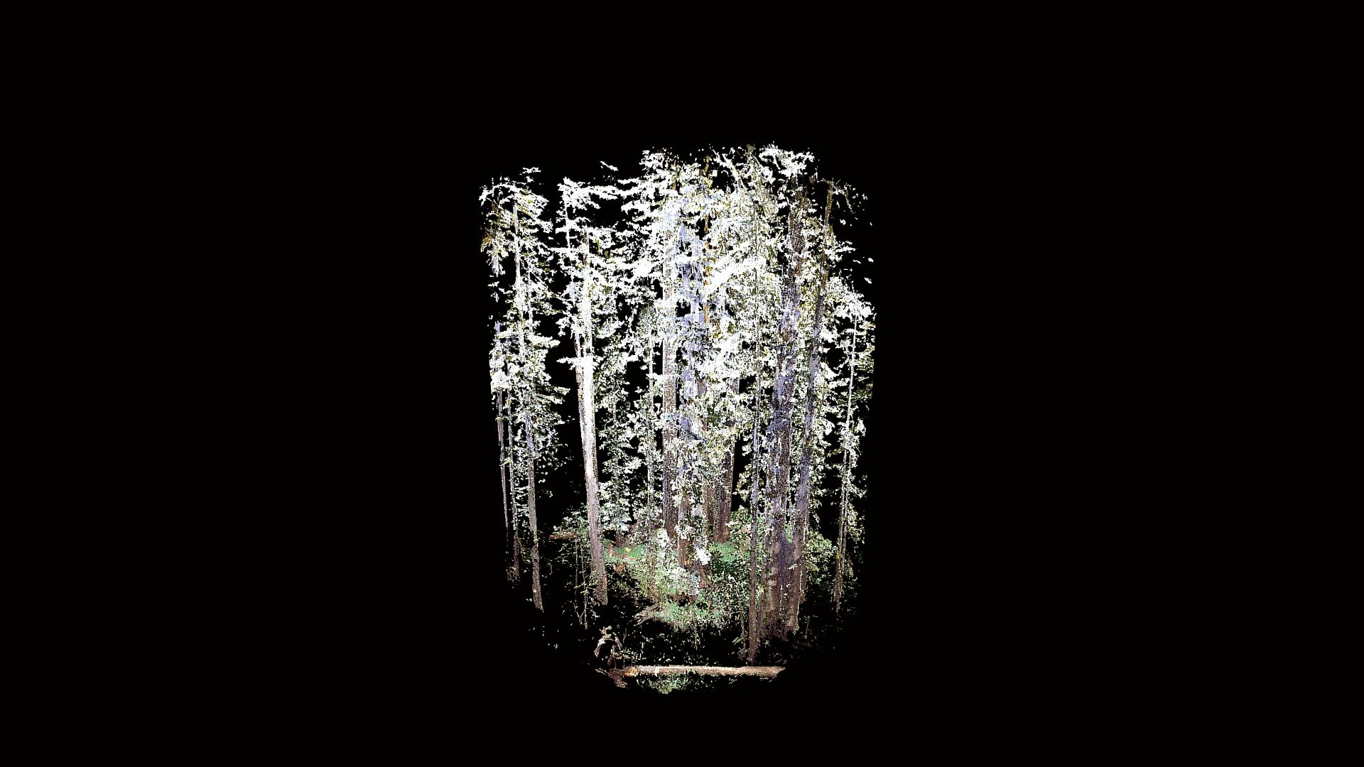 Stout Grove RedwoodC - 3D model by Carlos Gregory (@carlosgregory ...