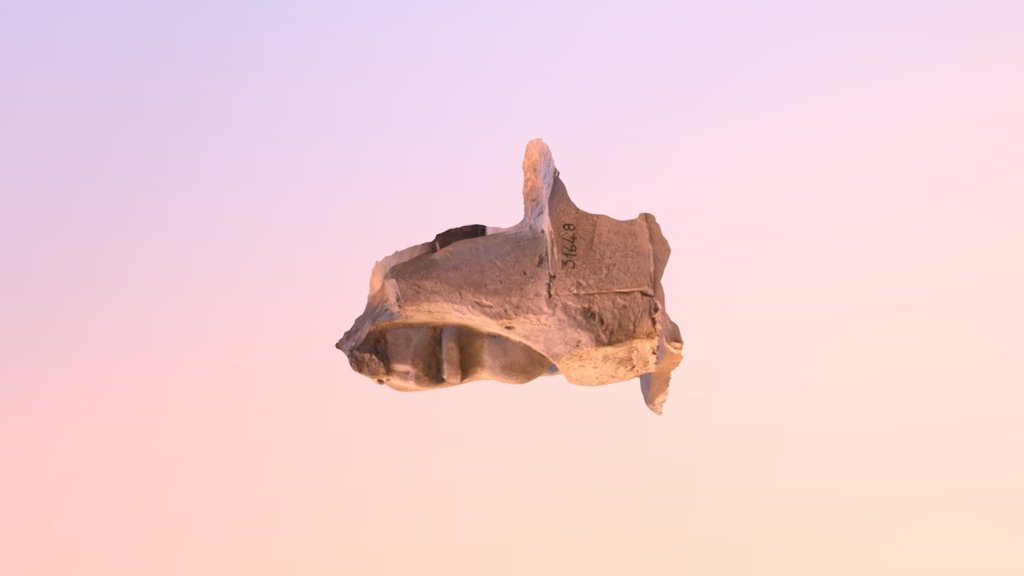 Marble face - 3D model by dreamscache [997b39c] - Sketchfab