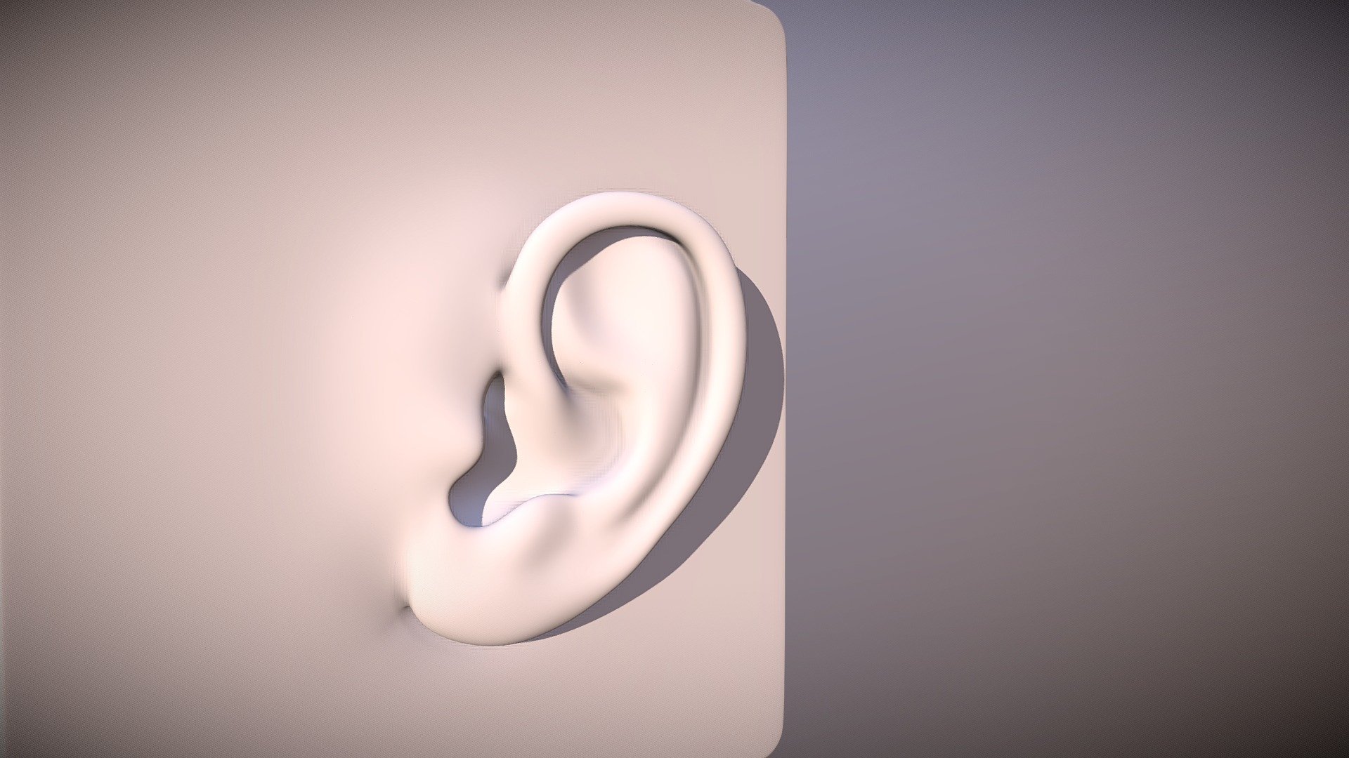 Ear 3d print - 3D model by Mikle (@cgamit786) [997f87b] - Sketchfab
