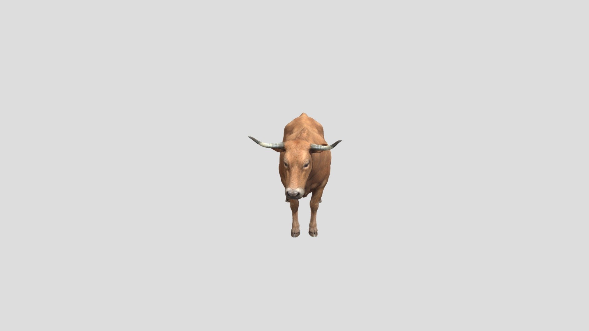 Beef - Buy Royalty Free 3D model by Phil3D (@philosophie) [9985d60 ...