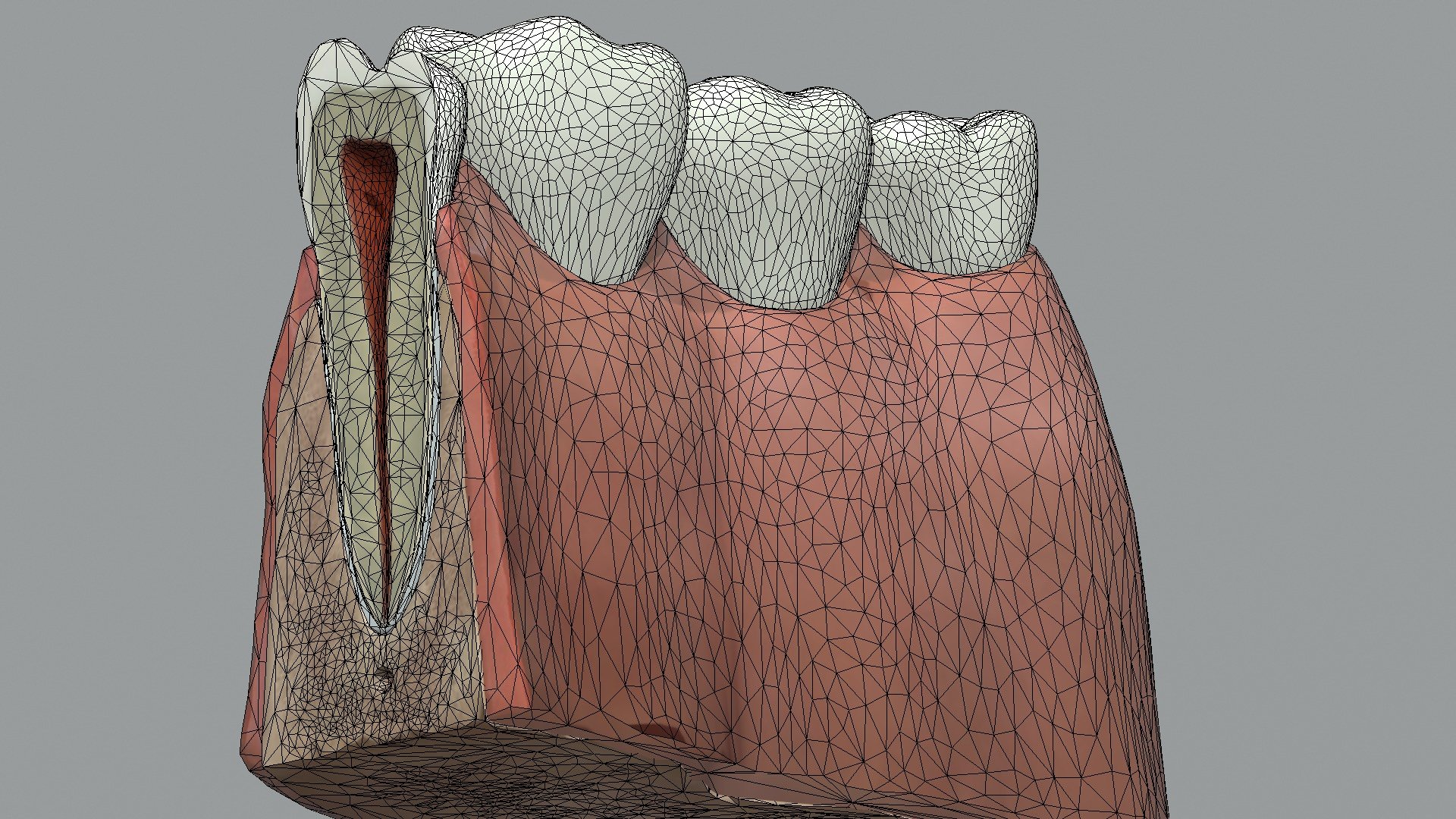 Optimized mesh with maps - 3D model by nbarto [9986634] - Sketchfab