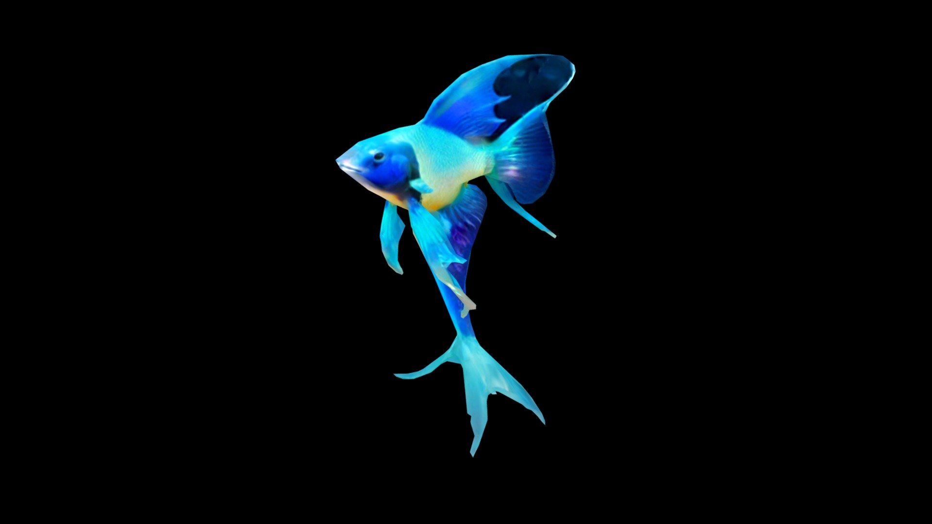 "Exploring the Aquatic World Marine Life in Blue - Download Free 3D ...