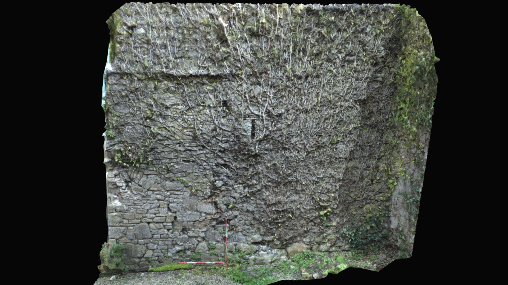 Killeigh Friary External Face West Wall - Download Free 3D model by ...