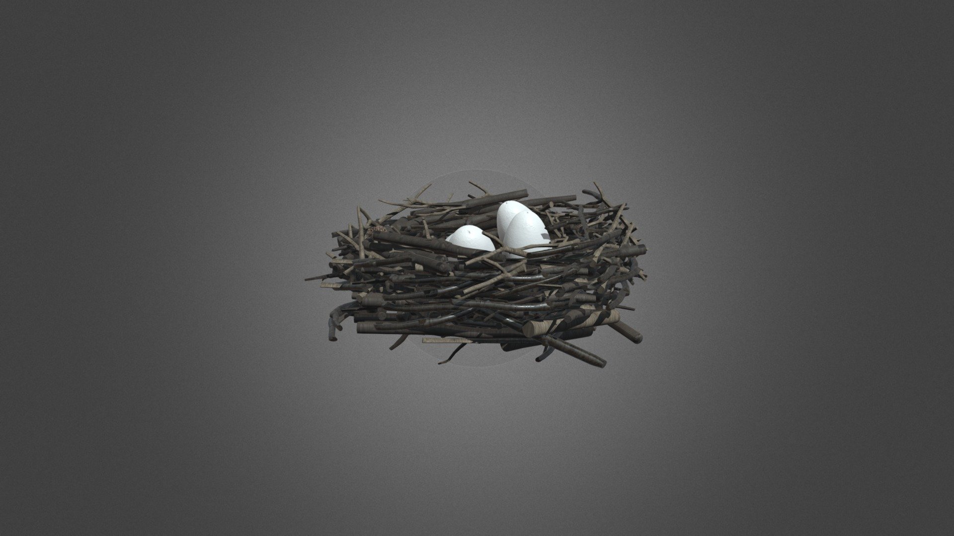 Bird Nest - 3D model by Fang_1111 [999fbf1] - Sketchfab