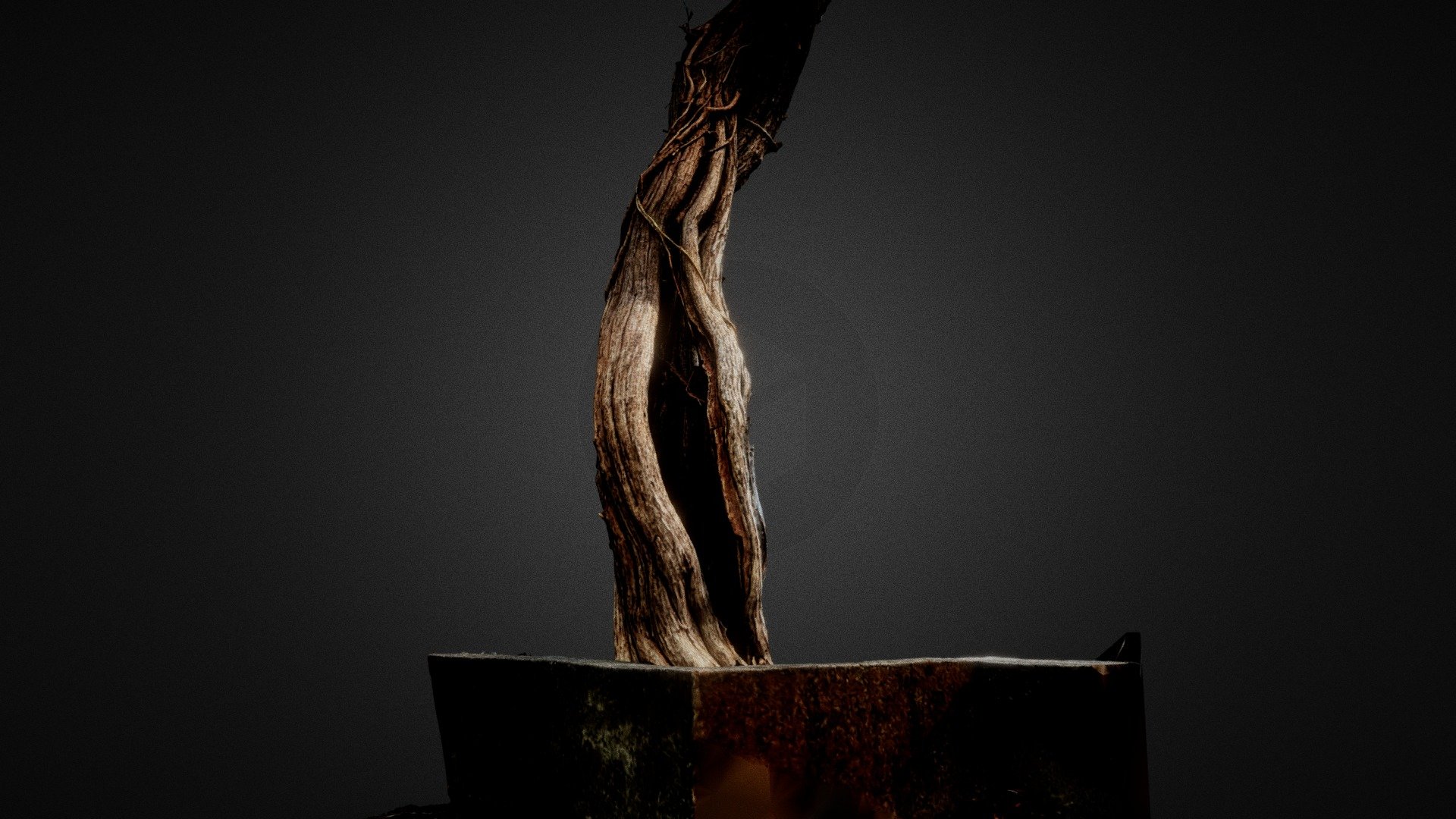 Twisted Tree Trunk - 3D model by tommyoshima [99a01ab] - Sketchfab