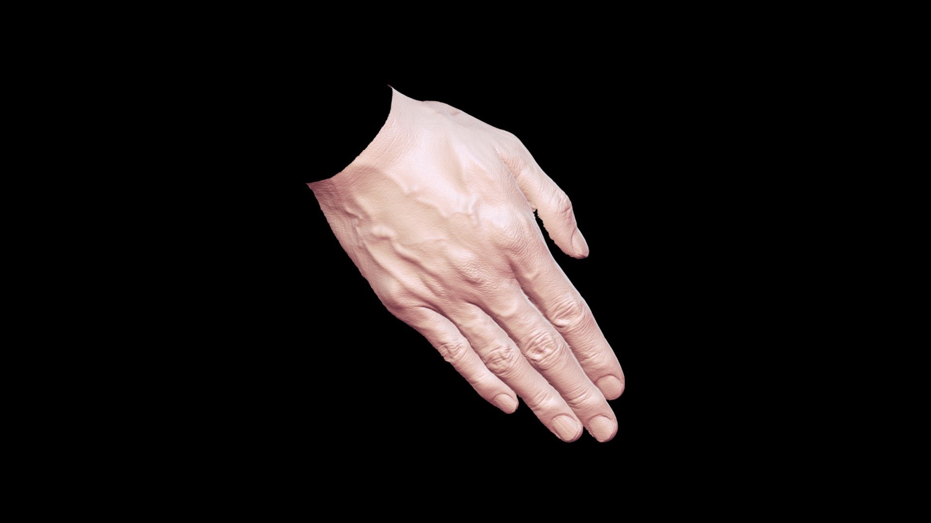 Hand Model - Download Free 3D model by Thunk3D 3D Scanner (@Lily.Qin1 ...