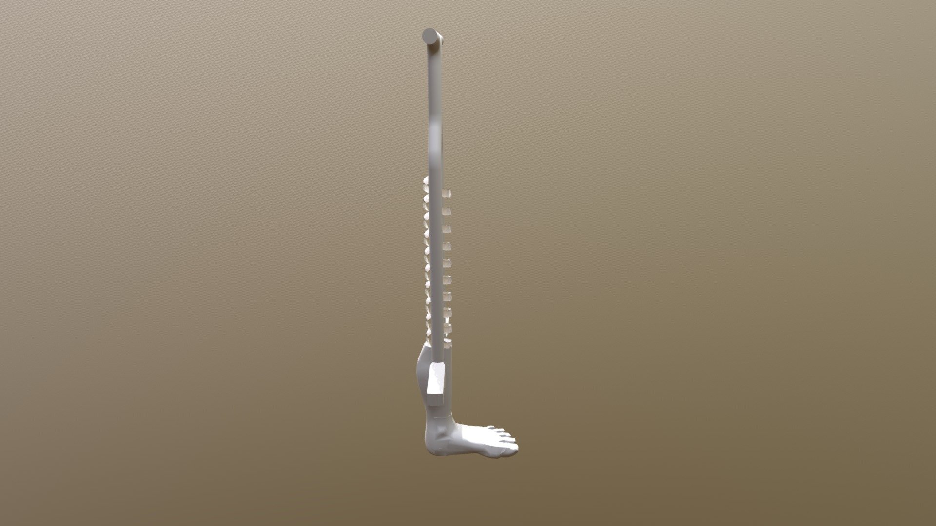Pogo Foot - 3D model by marglindahl [99a6c07] - Sketchfab