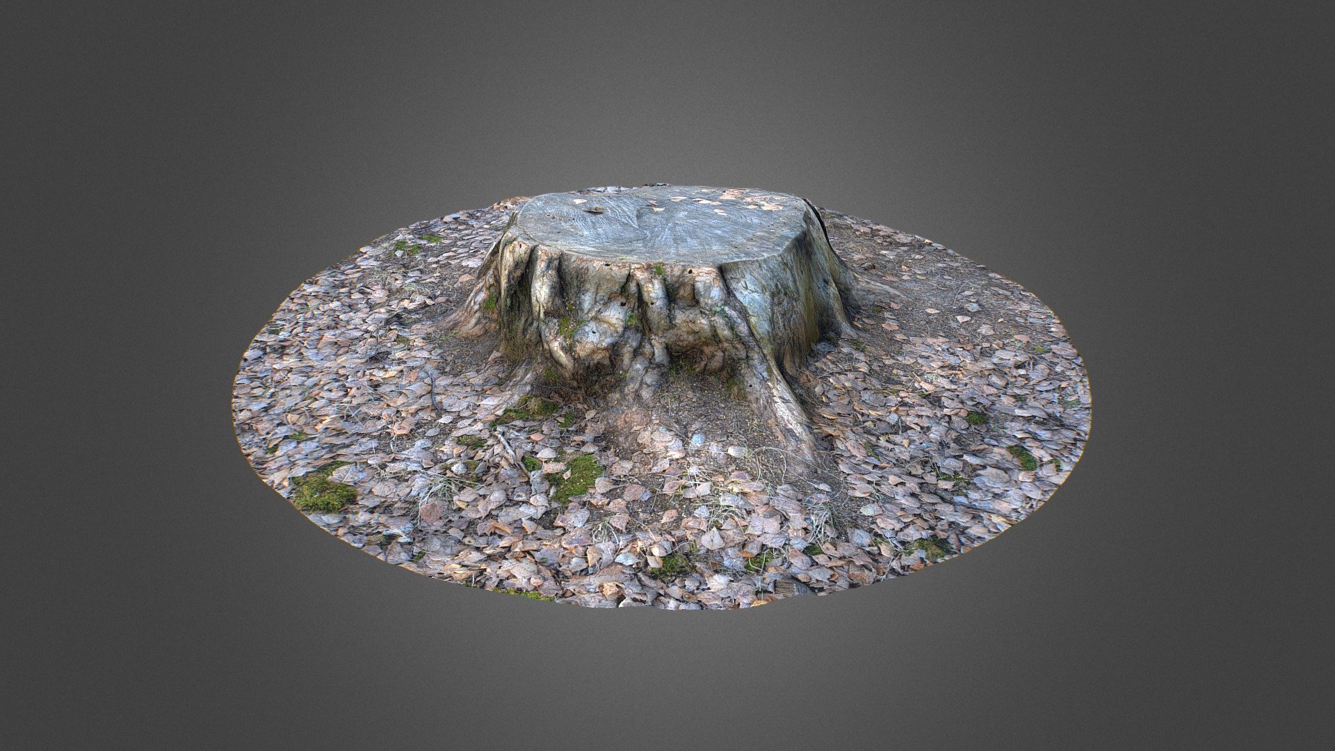 sTump - 3D model by anatoo [99a9260] - Sketchfab