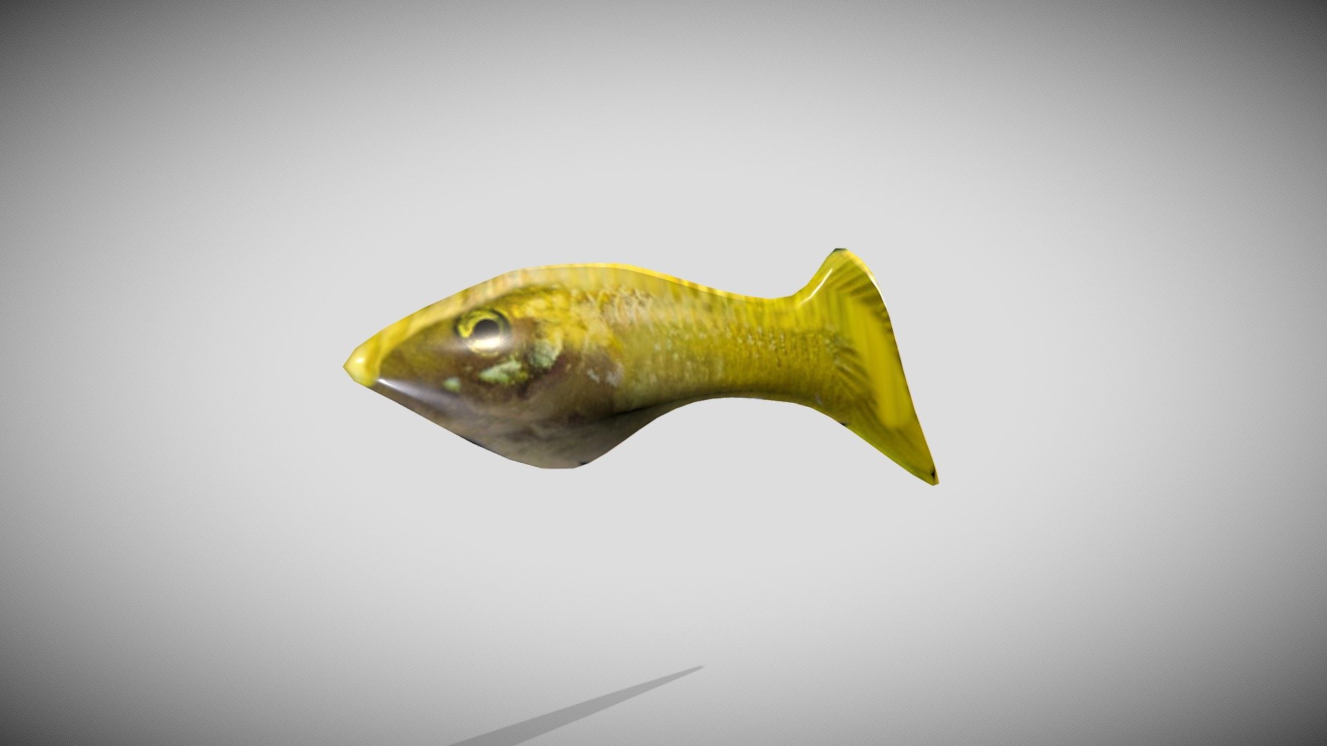 Fish - Download Free 3D model by cgdyrgo [99b1a77] - Sketchfab
