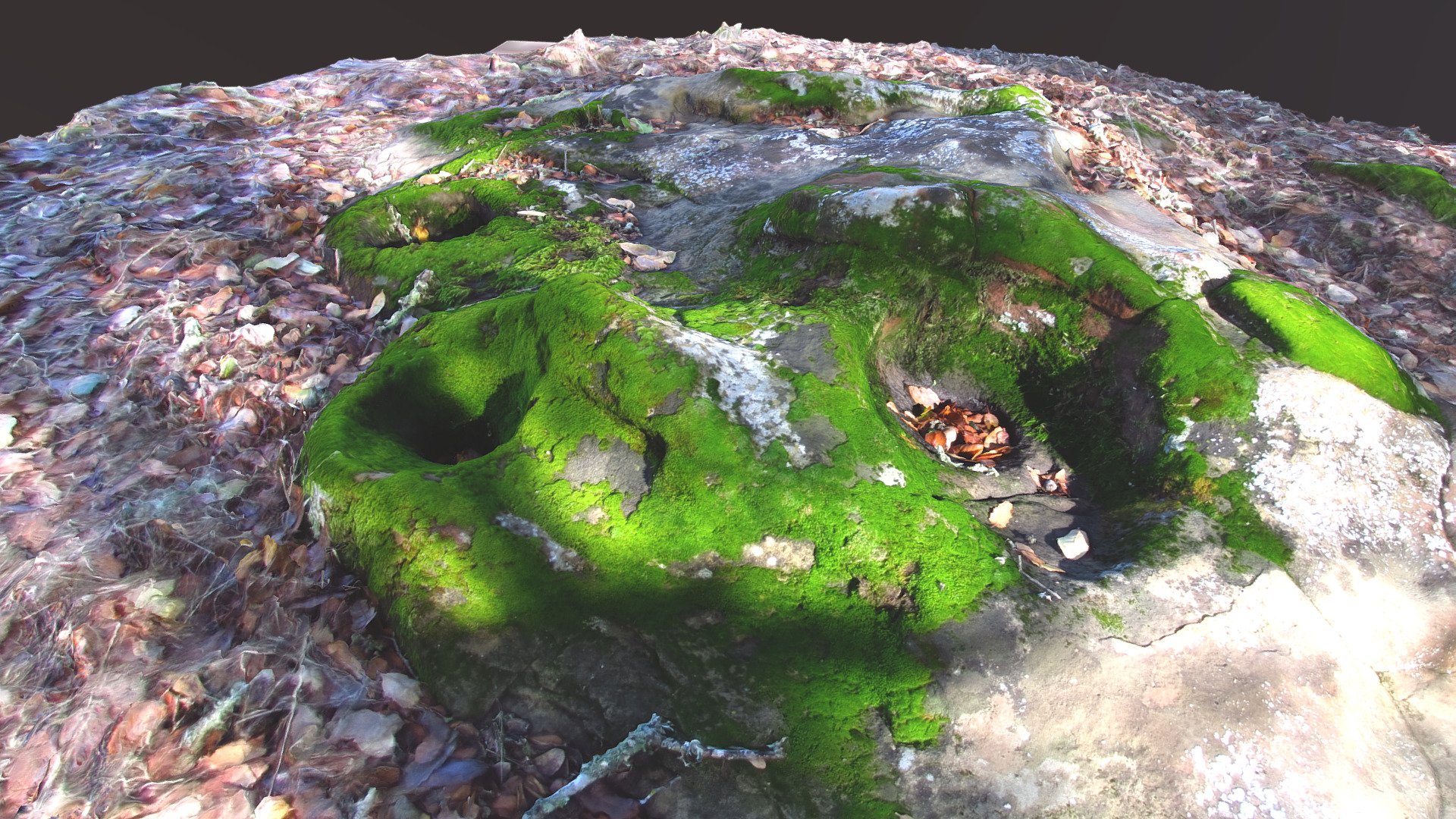 Acorn Grinding Mortars , California - 3D model by John Toeppen ...