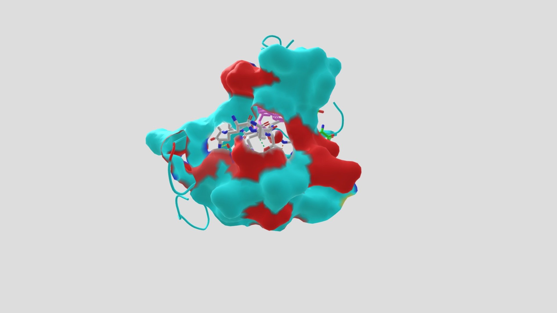 Structure of Proteins involved in Gene Silencing - 3D model by ...