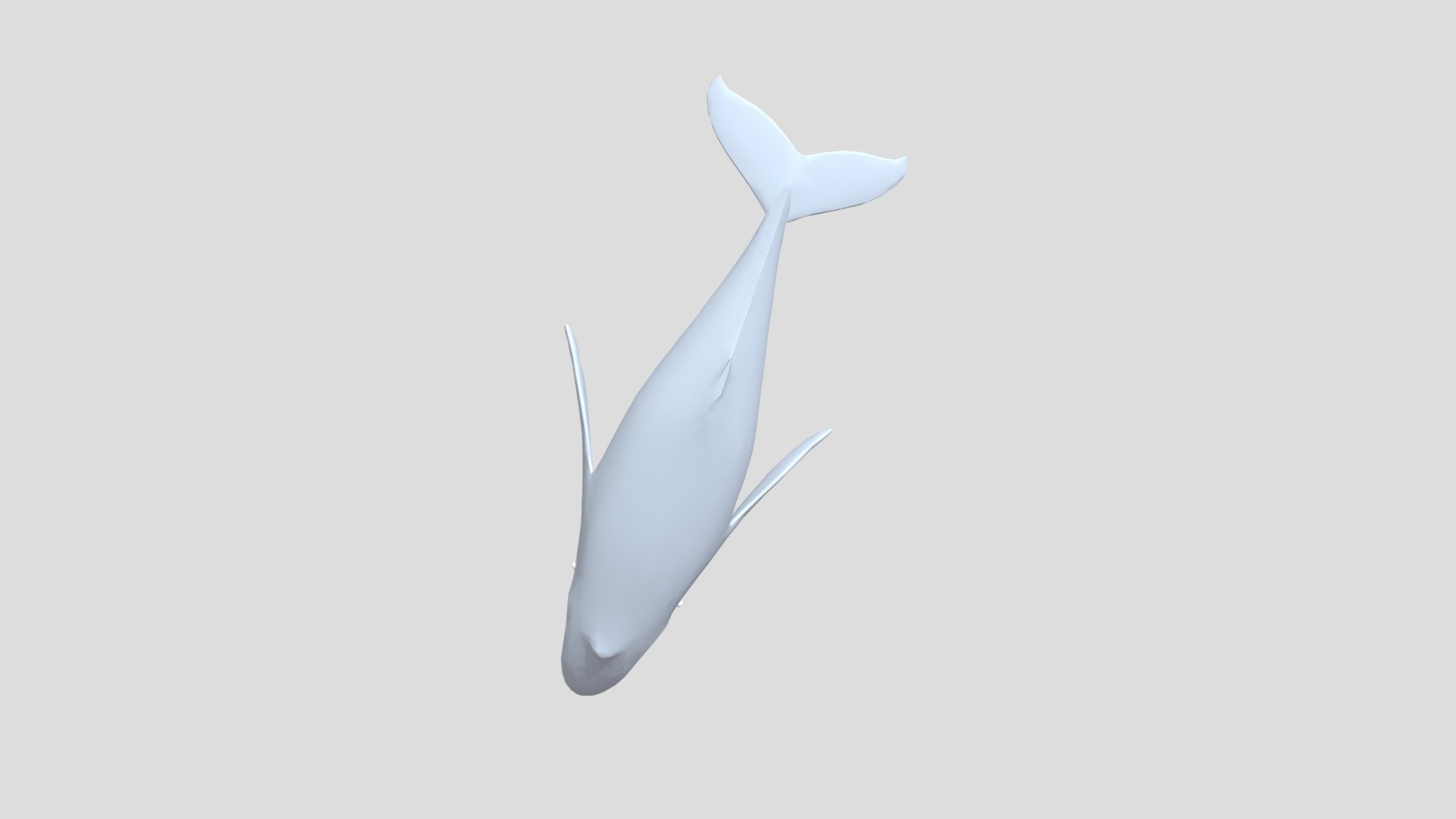 Blue Whale - Download Free 3D model by Shawn 684 M (@adim09) [99bacbc ...