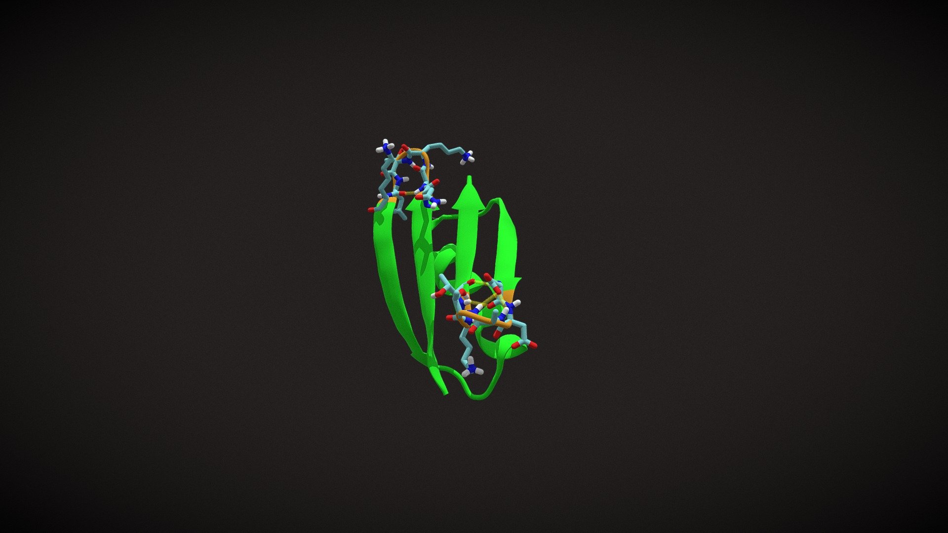 Beta Hairpin from Protein G - Download Free 3D model by gvsuchem (@gvsu ...