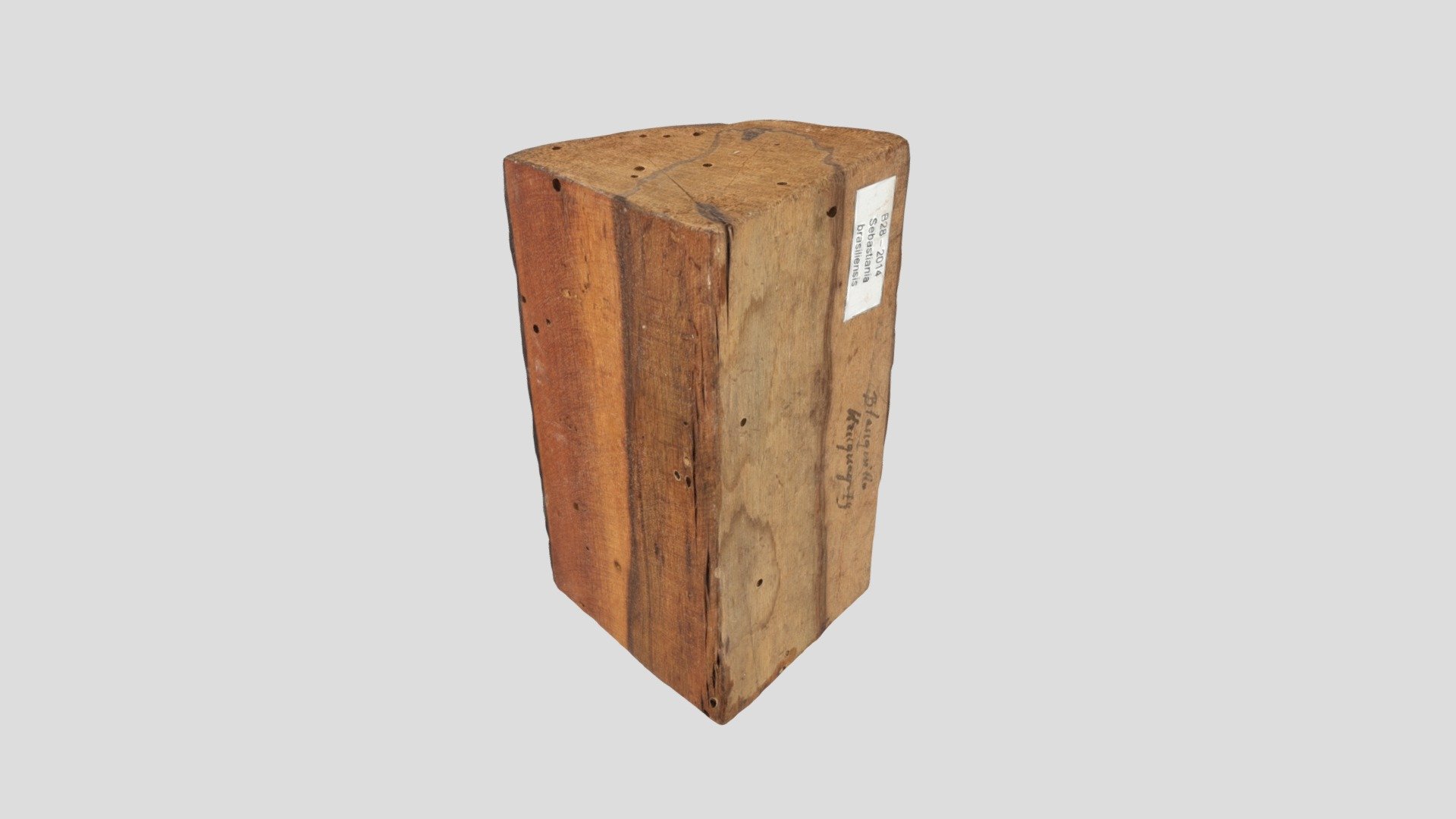 Wood Collection, Xylarium sample #12 - 3D model by SMA-UniGe [99d2b6d ...