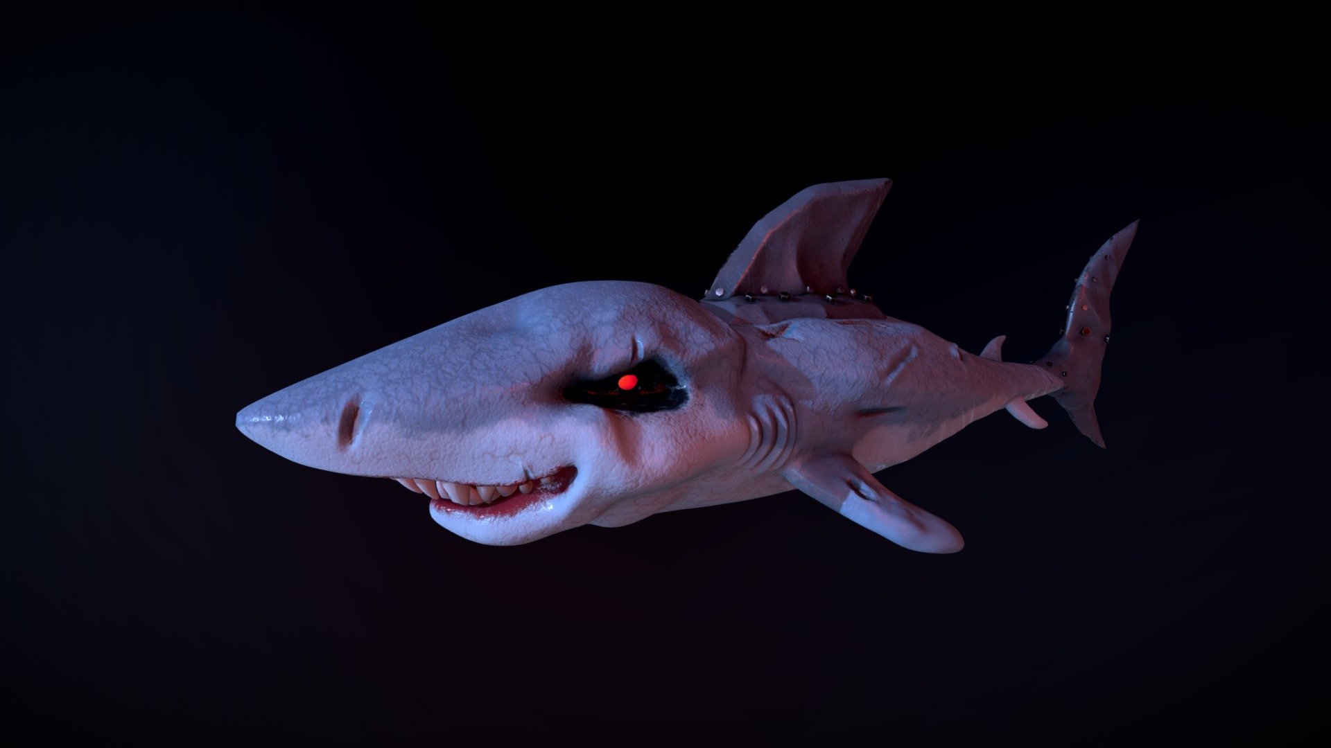 Stylized Shark - 3D model by move.run.stop [99d8878] - Sketchfab