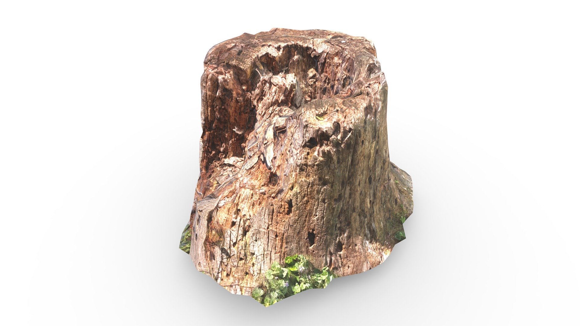 Tree Trunk (Game Ready) - Buy Royalty Free 3D model by Meerschaum ...