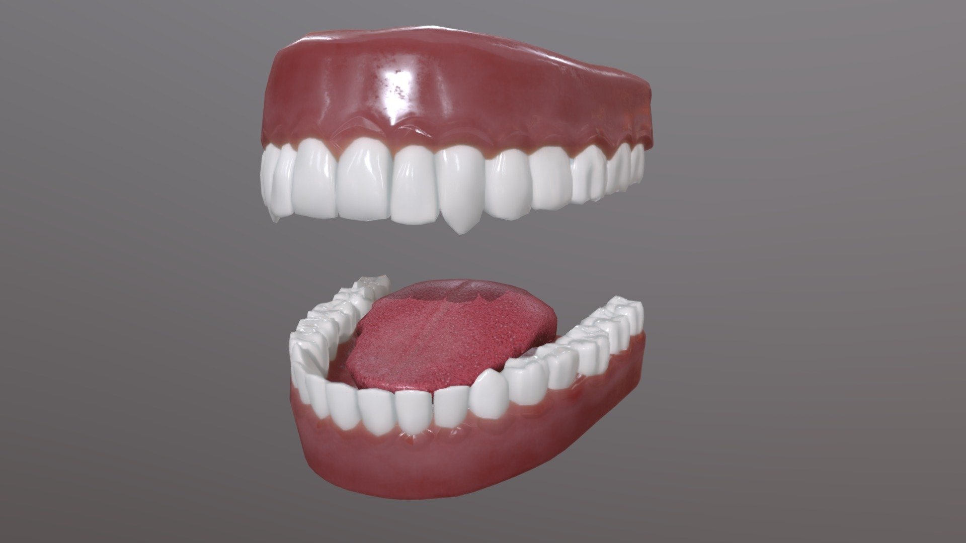 Teeth and Tongue Rigged 3D Model - 3D model by Griselda (Zelda) Flores ...