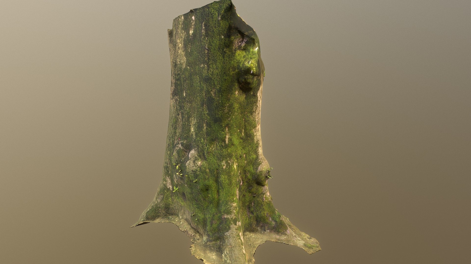 Foot of a tree - 3D model by Enishi (@tuntuku) [99e0a1c] - Sketchfab
