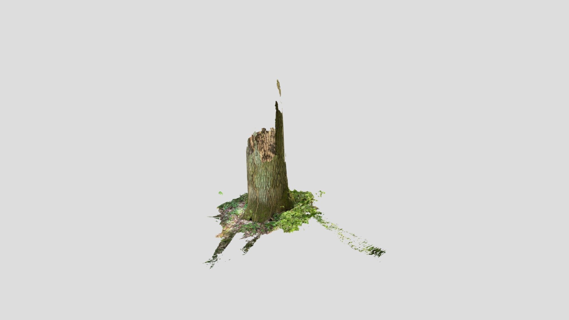Tree 2 - Download Free 3D model by buziferlus2802 [99e7355] - Sketchfab